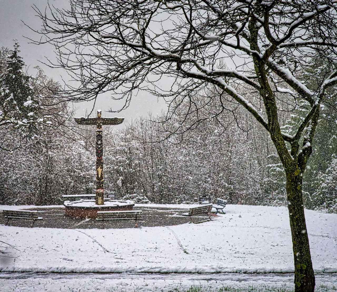 Snow Day: March 13 is rare but not the record | Westside Seattle